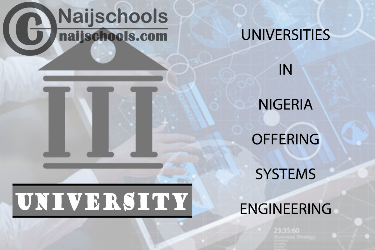 List of Universities in Nigeria Offering Systems Engineering - NAIJSCHOOLS