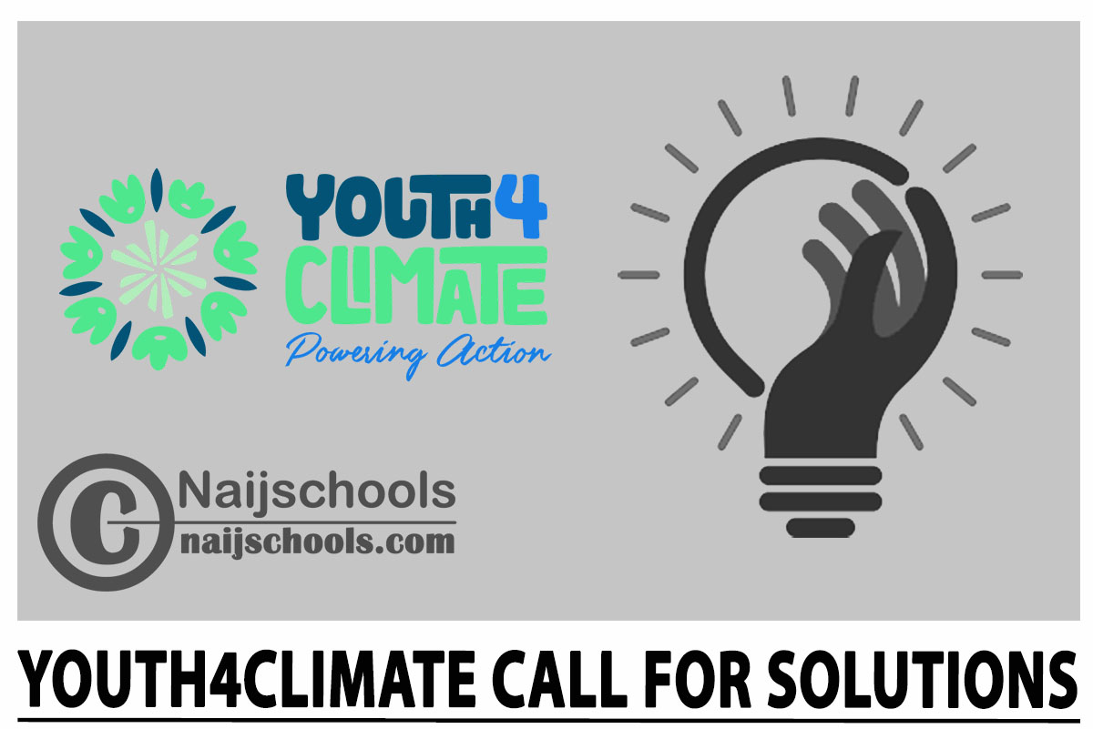 Youth4Climate Call for Solutions 2024 - NAIJSCHOOLS
