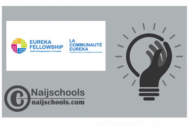 Eureka Fellowship for Youth Changemakers in Canada 2024 - NAIJSCHOOLS