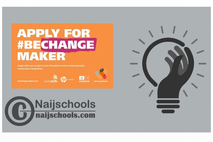 BeChangeMaker Program 2024 for Social Entrepreneurs - NAIJSCHOOLS