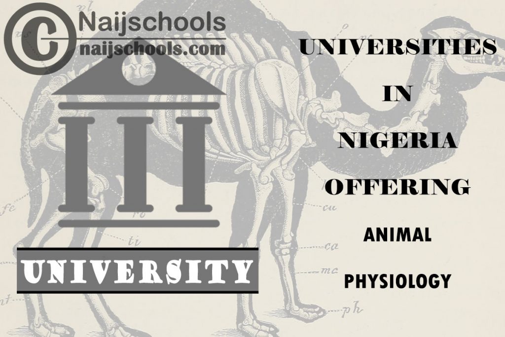 List of Universities in Nigeria Offering Animal Physiology - NAIJSCHOOLS