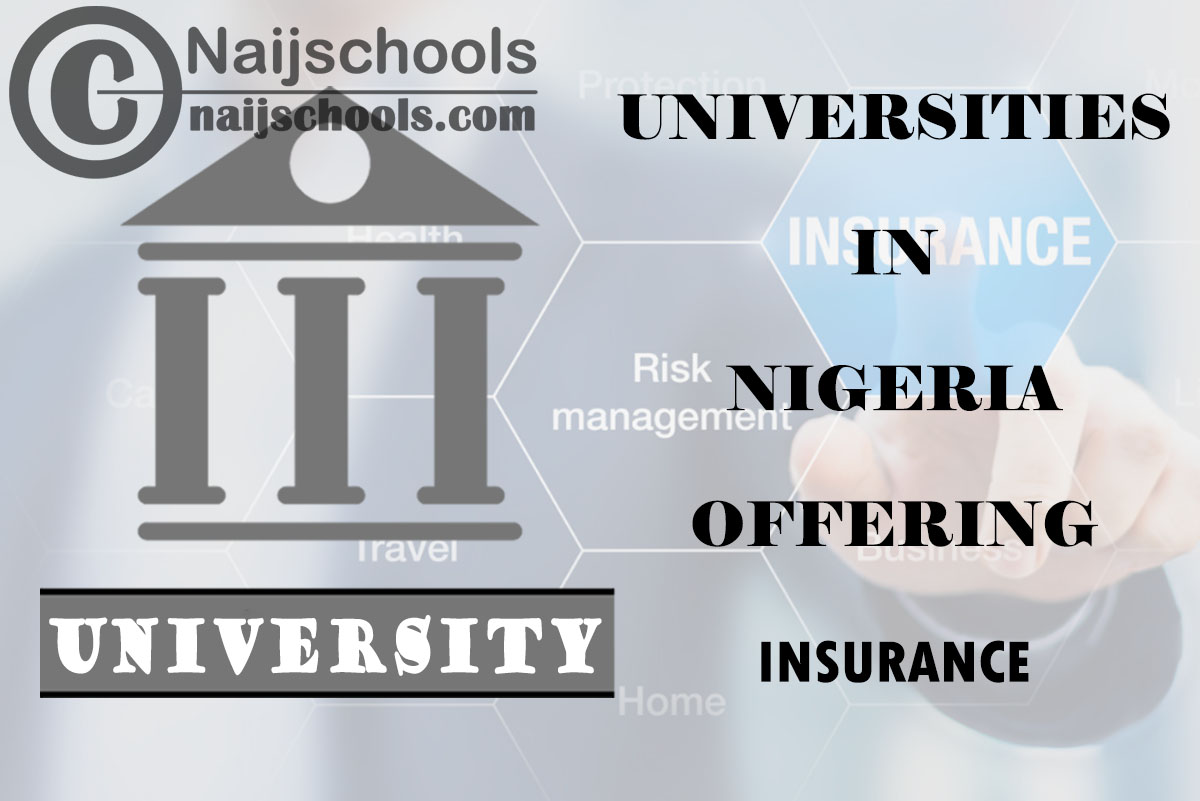 List of Universities in Nigeria Offering Insurance - NAIJSCHOOLS
