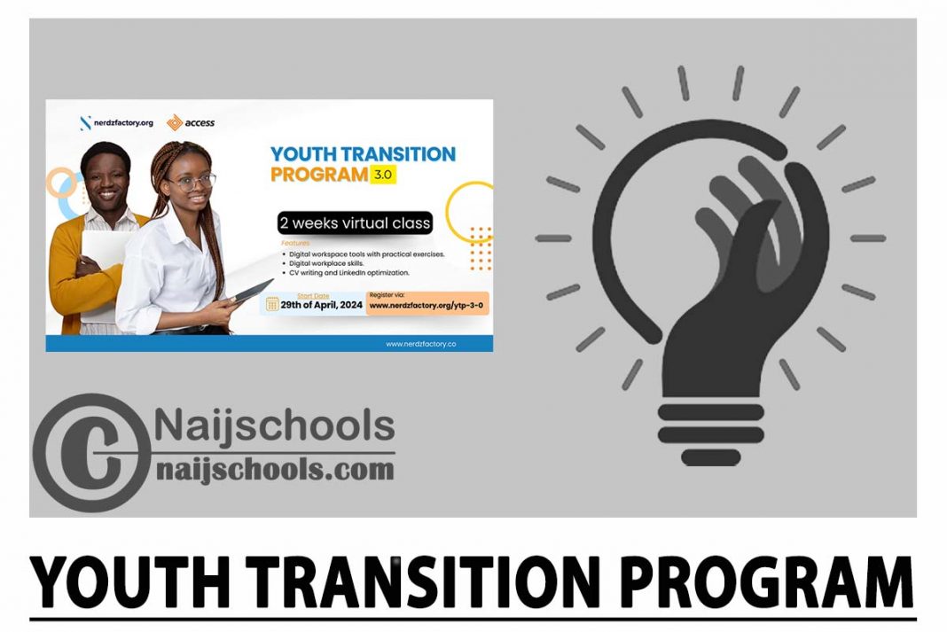 Grow Your Career with the Youth Transition Program - NAIJSCHOOLS